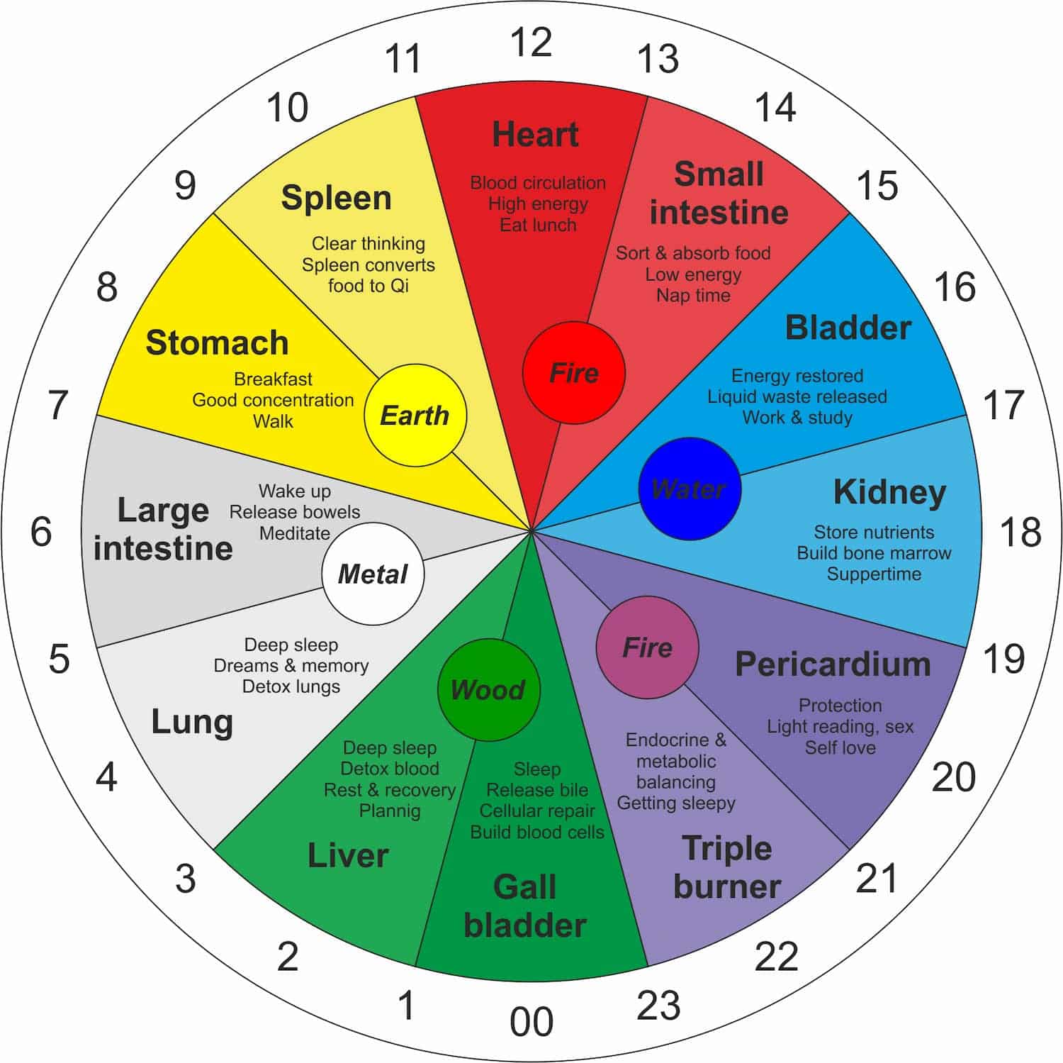 Human energy meridians are a system of chanels - BION-X